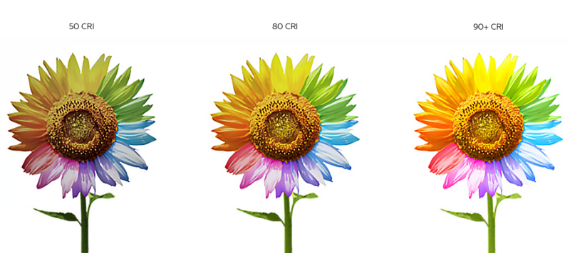 What is CRI? The Meaning of Color Rendering Index in Lighting