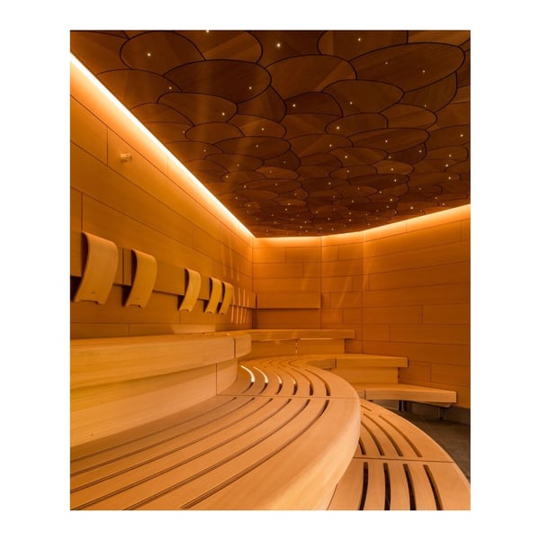 Steam-Rated Flexible Strip LED Sauna Light – Alcon Lighting 12102-SS