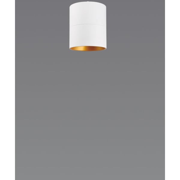 4" Beveled Cylinder LED Ceiling Light – Alcon Lighting 12343-4-SB