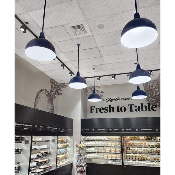 RLM Industrial Dome High and Low Bay LED Light – Alcon Lighting 15201