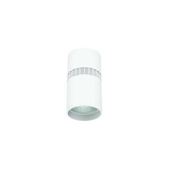4-Inch LED Cylinder Surface Mount Light