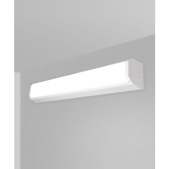 H.E. Williams SLF Surface or Wall Mount Light | AlconLighting.com