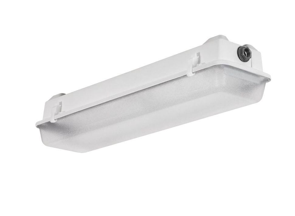 Philips Vandal Resistant Lighting | Shelly Lighting