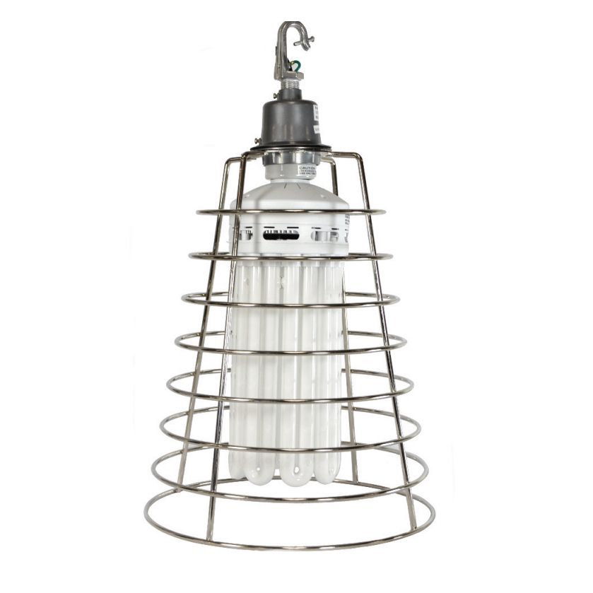 Temporary Lighting Fixtures